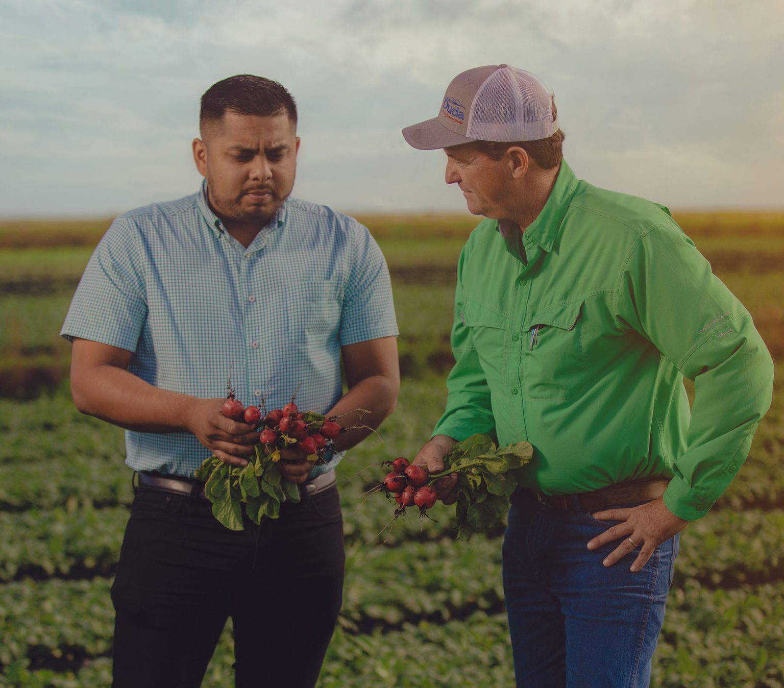 Duda Farm Fresh Foods – DUDA